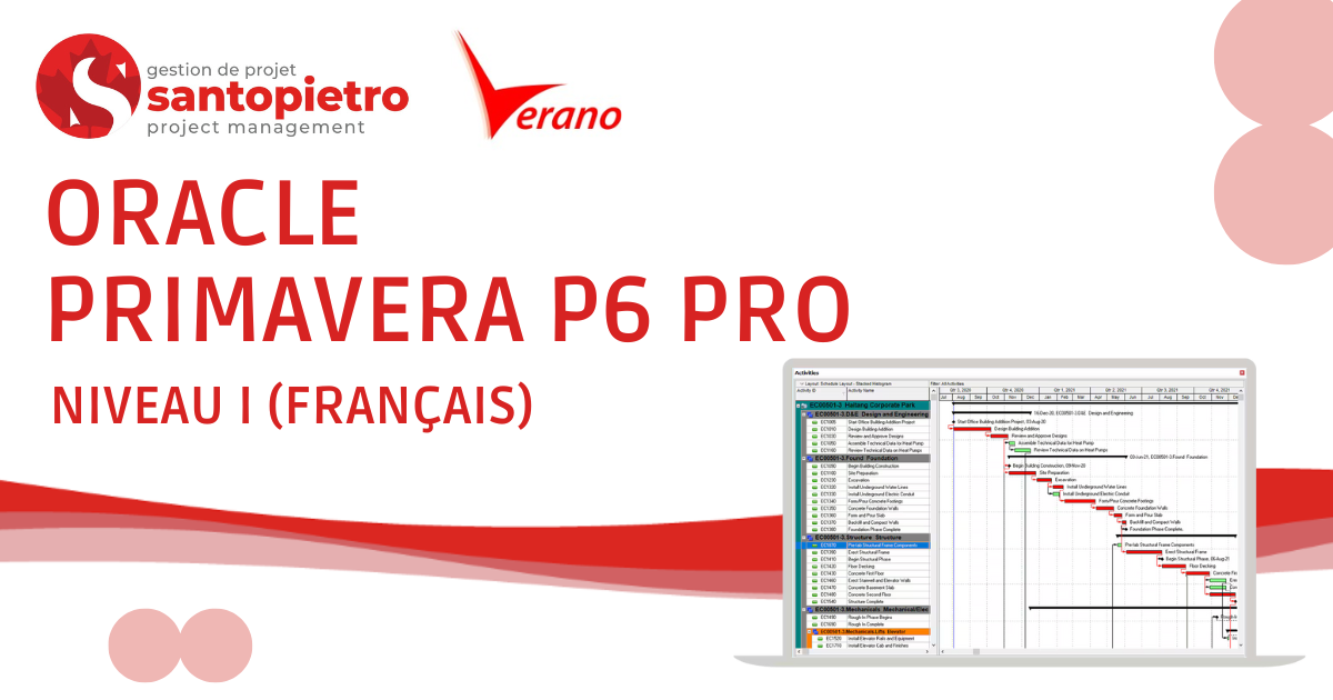 Oracle Primavera P6 Pro – niveau I (français)