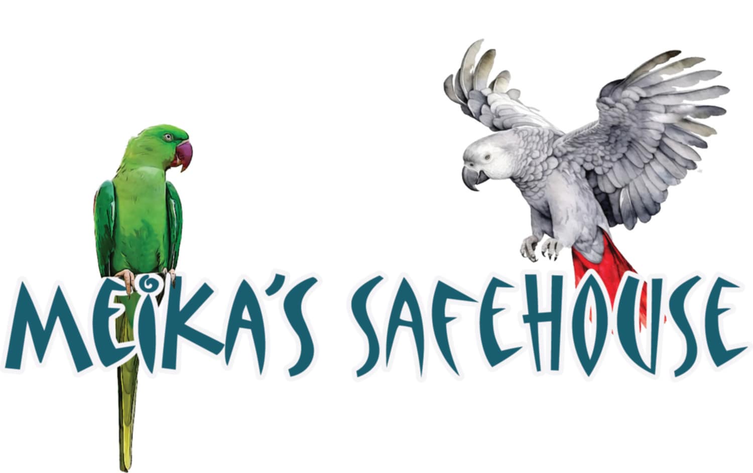 Online Course - Meika's Safehouse Parrot Care Course