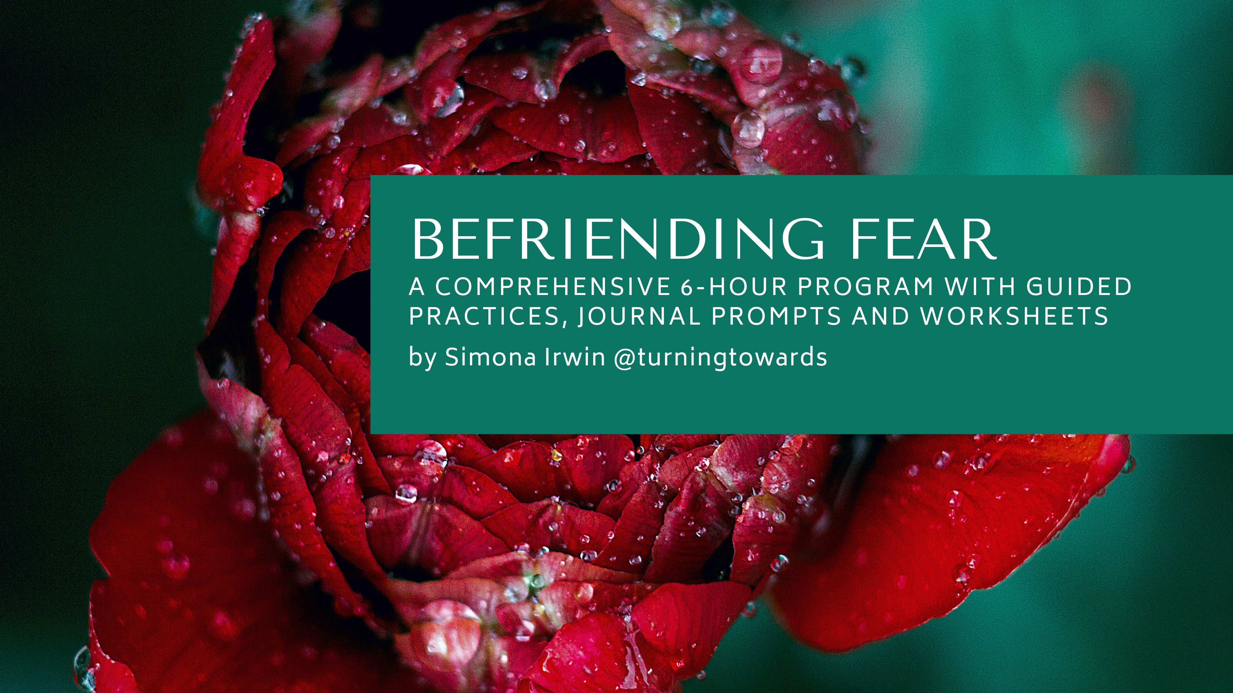 Befriending Fear Series
